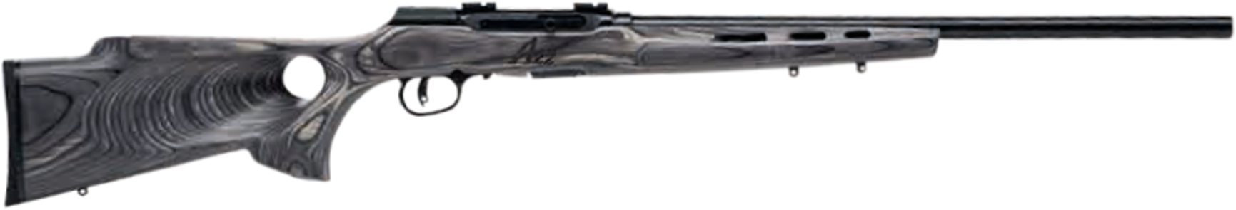 Savage Arms Savage A22 Target Thumbhole Semi-Auto Rifle - Rifleman Firearms